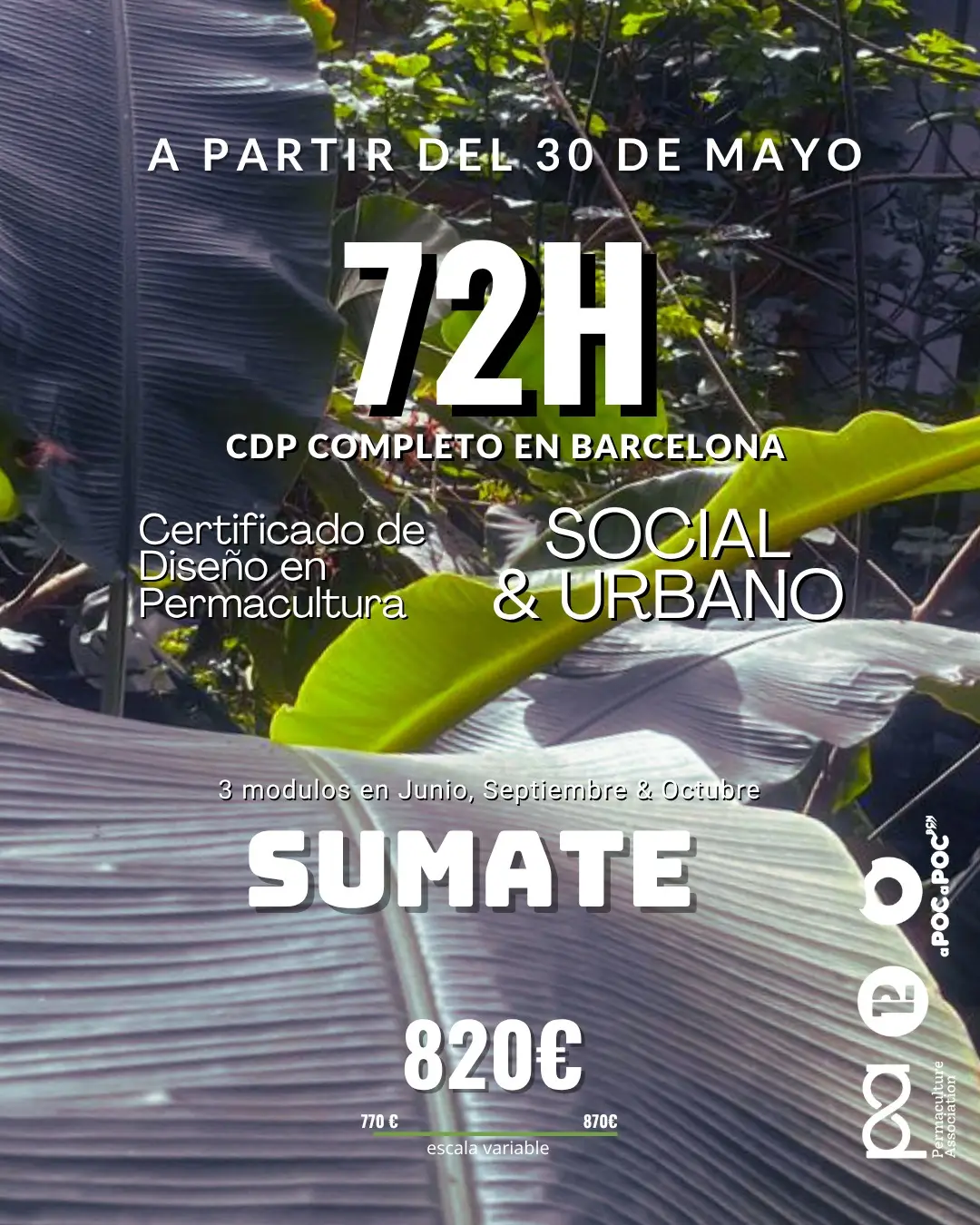 Curso Certificado de Diseño en Permacultura con Enfoque Social y Urbano ...